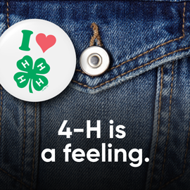 Alumni Events & Engagement | Illinois 4-H | UIUC